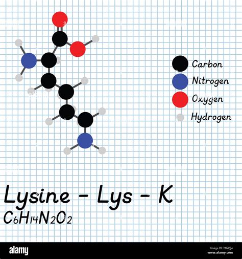 Lysine Lys K Amino Acid Molecular Formula And Chemical Structure