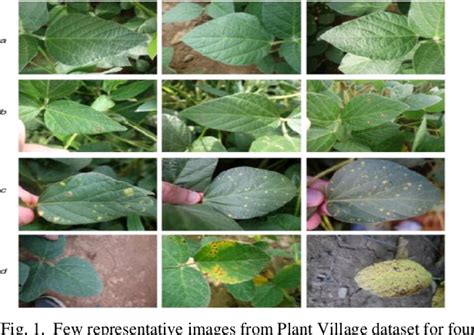 Figure 1 From Automatic Health Monitoring System Of Soybean Plant Leaf