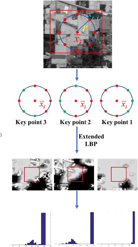 Figure 1 From Semisupervised Hyperspectral Image Classification Via