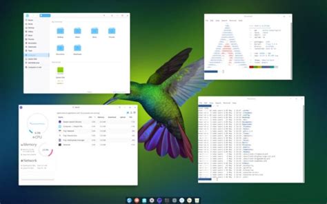 9 best arch based distros with gui for 2021 linux shout