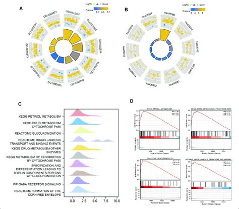 Functional Enrichment Analysis Of Degs Based On Mdn1 Gene Mutation