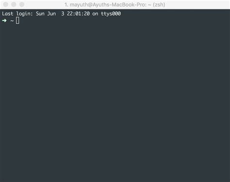 auto suggestion syntax highlighting in zsh by ayuth mangmesap