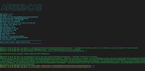 cas sso docker image fails caused by tomcat server stack overflow