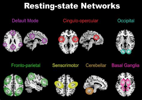 Resting State Networks Most Often Reported Networks In Previous