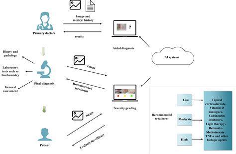 Research On Dermatological Diagnosis System Based On Convolutional