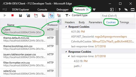how do i view cookies in internet explorer 11 using developer tools