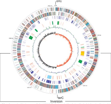 Figure 1 From Complete Genome Sequence Of The Prototype Lactic Acid