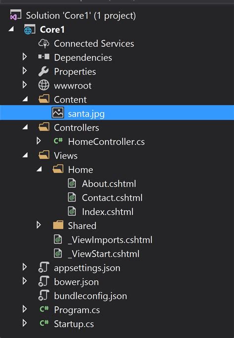 c mvc core 1 1 image will not show on view cannot
