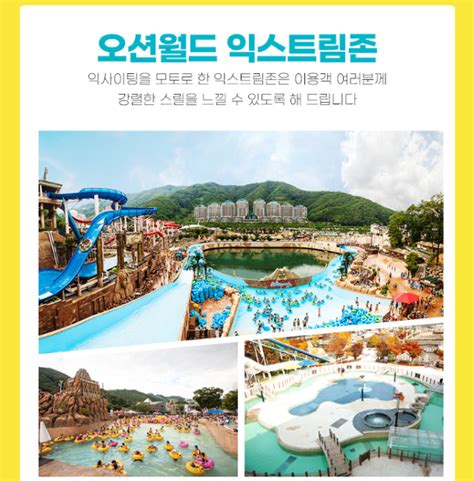 강원 홍천 비발디파크 오션월드 입장권 날짜 지정형