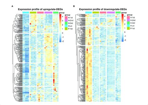 Hierarchical Cluster Analysis Of Degs In Five Groups A The
