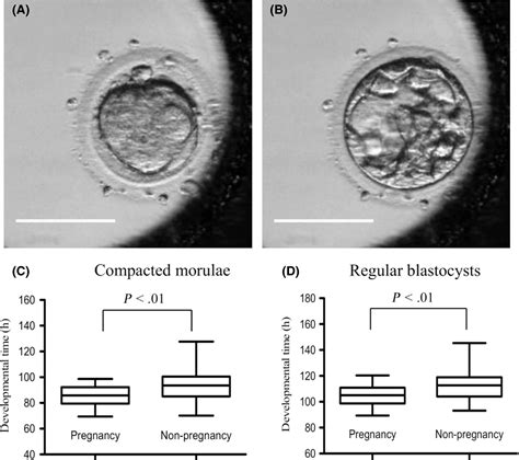 Selection Of High‐quality And Viable Blastocysts Based On Timing Of