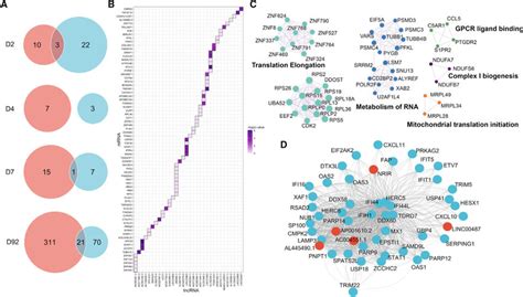 Overlap And Enrichment Of Lncrnas A Venn Diagrams Showing The