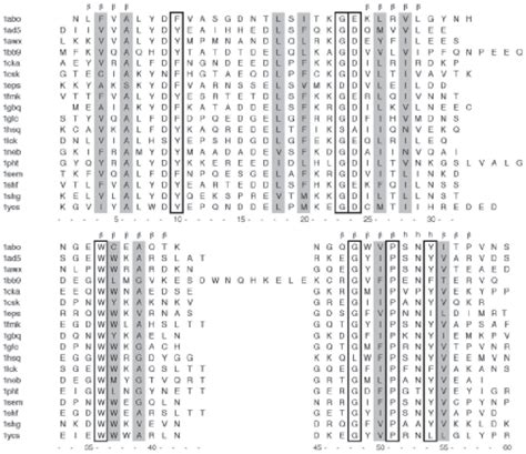 A Portion Of An Sh3 Domain Sequence Alignment This Small Alignment Is