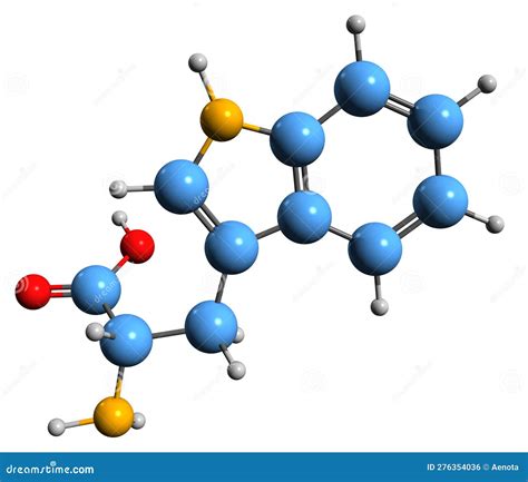 Tryptophan Skeletal Formula And Molecular Structure Cartoon Vector