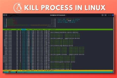 How To Kill A Process In Linux 2023 Guide Beebom
