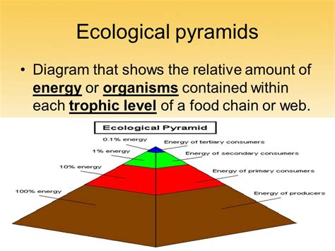 Ecosystem Ppt Download