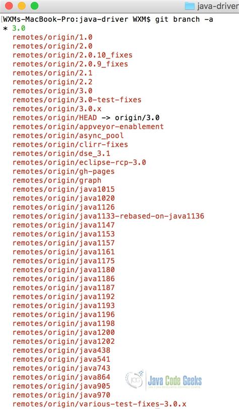 git push branch to remote example examples java code geeks 2022