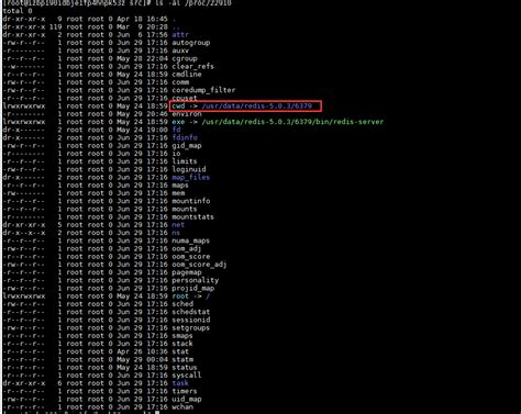 linux下使用ps命令查看某个进程文件的启动位置 csdn博客