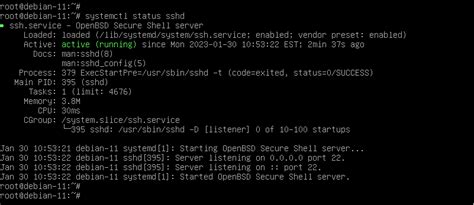 Setting Up A Headless Linux Server Using Debian