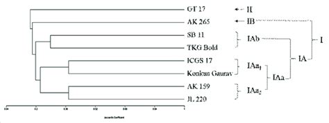 Upgma Based Dendrogram Based On Jaccards Similarity Coefficients