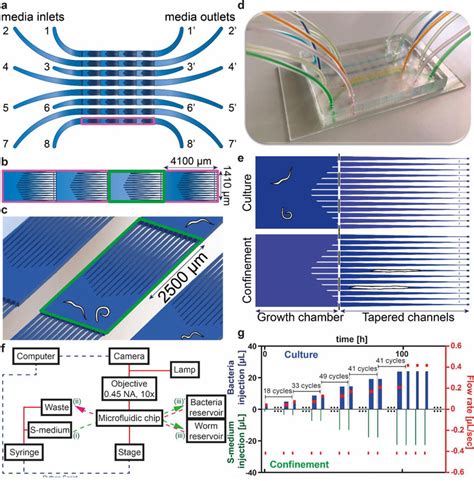 Details Of The Microfluidic Platform For Automated High Content