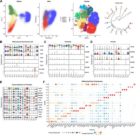 Frontiers Single Cell Transcriptome Integration Analysis Reveals The