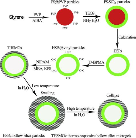 Scheme 1 Schematic Diagram Illustrating The Formation Of Thsmgs And