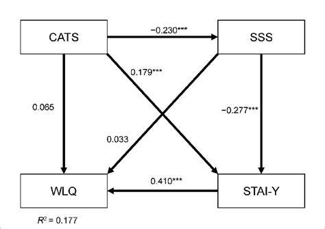 Results Of Covariance Structure Analysis Using A Path Model Showing