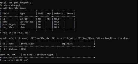 working with mysql blob in python geeksforgeeks