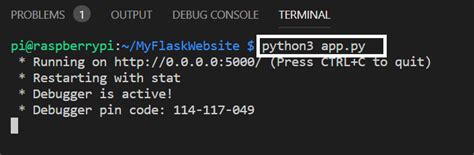 how to make your own python dev server with raspberry pi