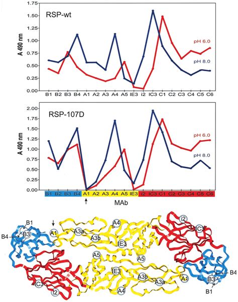 Antibody Binding Profiles Before And After Low Ph Treatment The