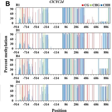 The Dna Methylation Map Of Clcyc2 Like Genes The Dna Methylation Map