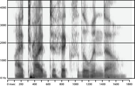 Mystery Spectrogram Archive 2004 Rob Hagiwara
