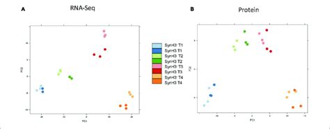 Principal Coordinate Analysis Pca Plots Of Transcriptomic A And