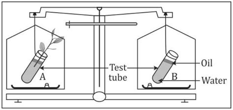 The Figure Given Below Represents An Experimental Setup With