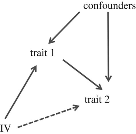 Directed Acyclic Graph Of The Mendelian Randomization Model Iv