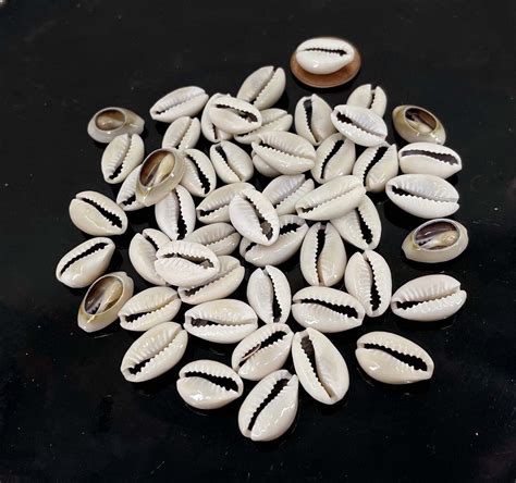 50 Natural Cowrie Shell Beads Back Cut Seashell Bulk Sea Shell 12mm