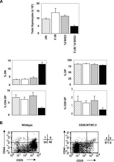 Regulated Costimulation In The Thymus Is Critical For T Cell