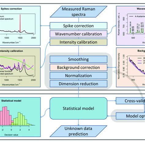 a general pipeline for raman data preprocessing the workflow shows
