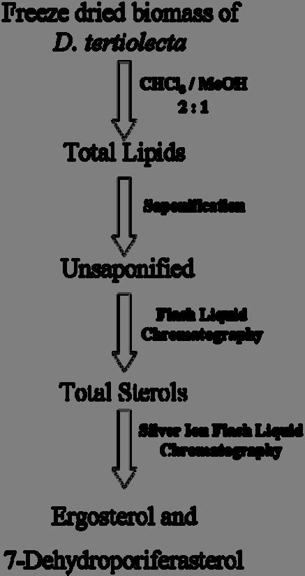 Schematic Representation Of Extraction Separation And Purification