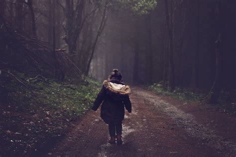 무료 이미지 나무 자연 숲 통로 좁은 길 보행 사람 도로 햇빛 아침 어두운 흙길 가을 인간의 어둠