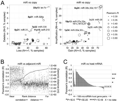 In Ovarian Tumors Expression Patterns Of Mirnas Mirs Are Influenced