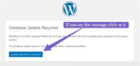 6 Ways To Update Wordpress Manually And Automatically 2023