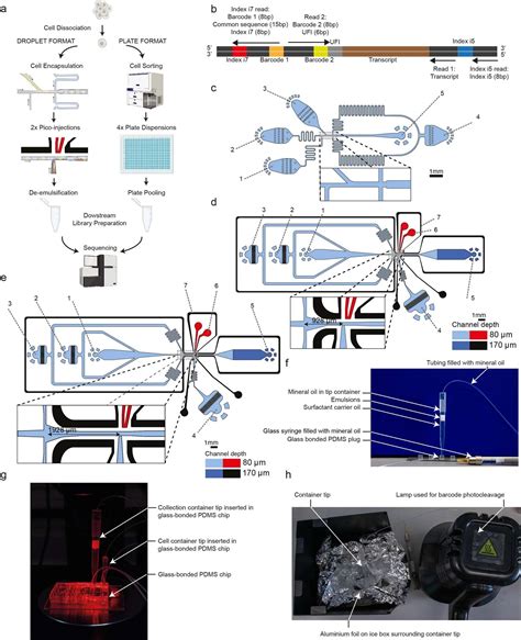 Droplet Microfluidics Enabled Total Rna Sequencing