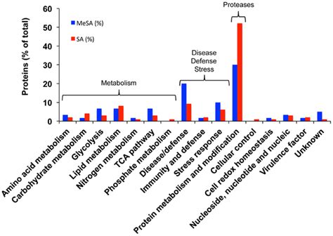 Functional Categorization Of The Proteins Found In Differentially