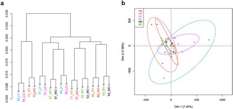 A Correlation Clustering And B Principal Component Analysis Pca Run