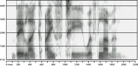 Mystery Spectrogram Archive 2003 Rob Hagiwara