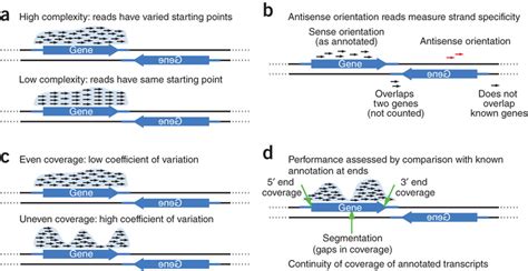Key Criteria For Evaluation Of Strand Specific Rna Seq Libraries A D