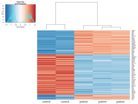 Heatmap Of The Most Variable Genes Across All Samples Hierarchical
