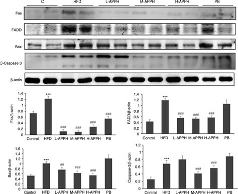 Effect Of Apph On Apoptosis Marker Proteins The Levels Of Apoptosis